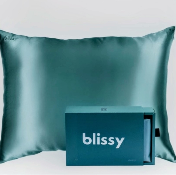 Blissy | Bedding | Nwt Blissy 0 Pure Mulberry Silk Pillow Case Emerald ...